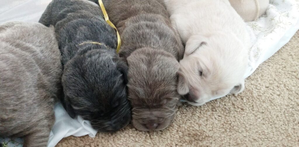 Current Classified Ads | KBRB Radio Ainsworth, NE