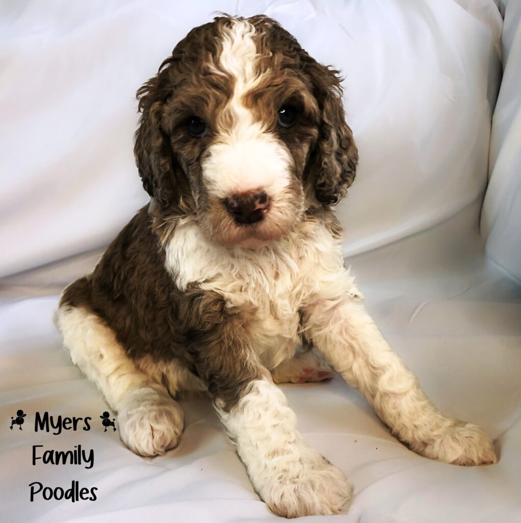 Current Classified Ads | KBRB Radio Ainsworth, NE