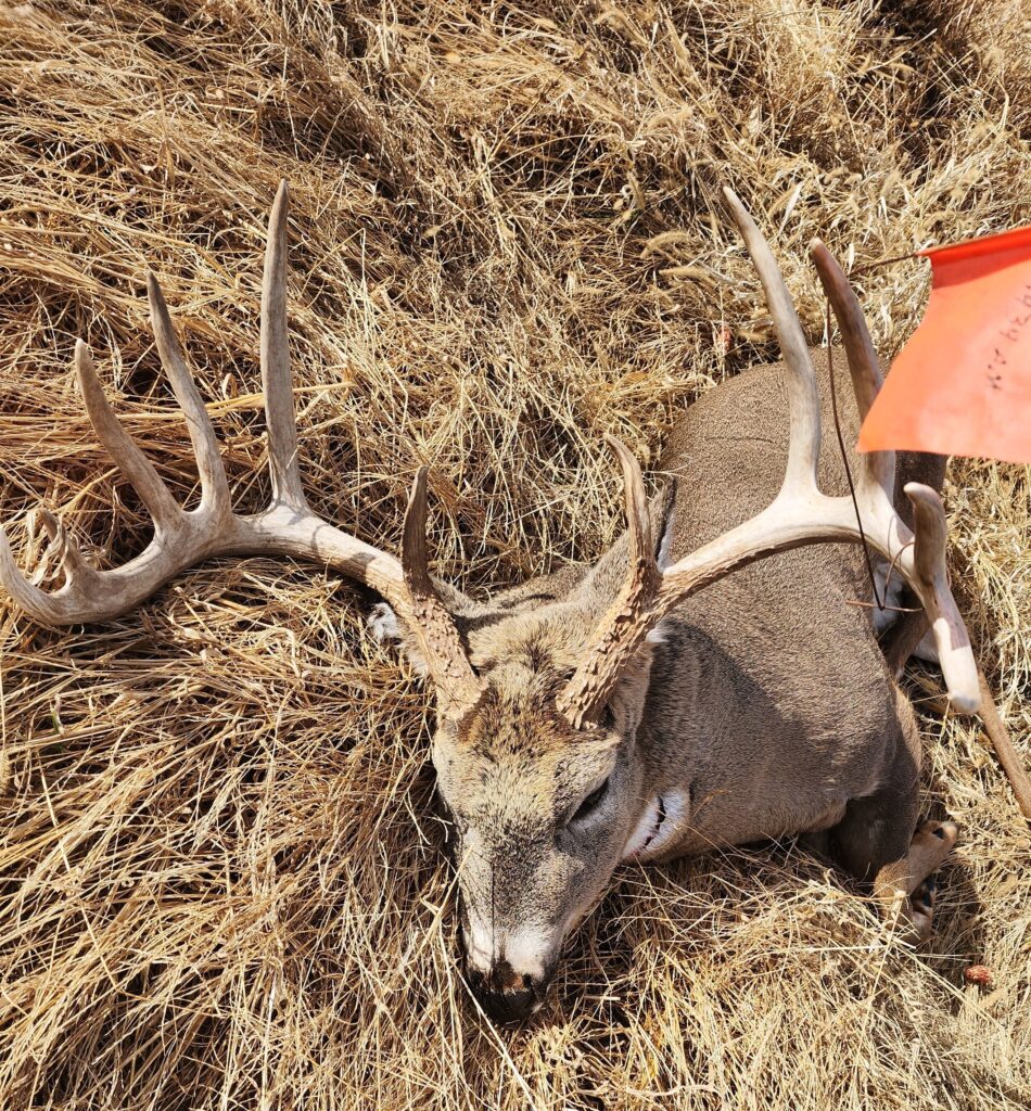 SportsPage | KBRB Radio Ainsworth, NE