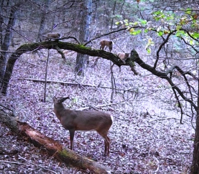 SportsPage | KBRB Radio Ainsworth, NE